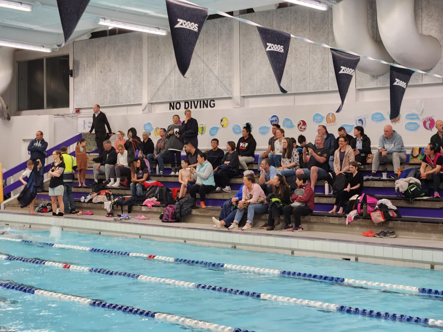 Entering a Swim Meet - Porirua City Aquatics