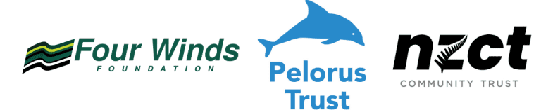 Home Page - Porirua City Aquatics